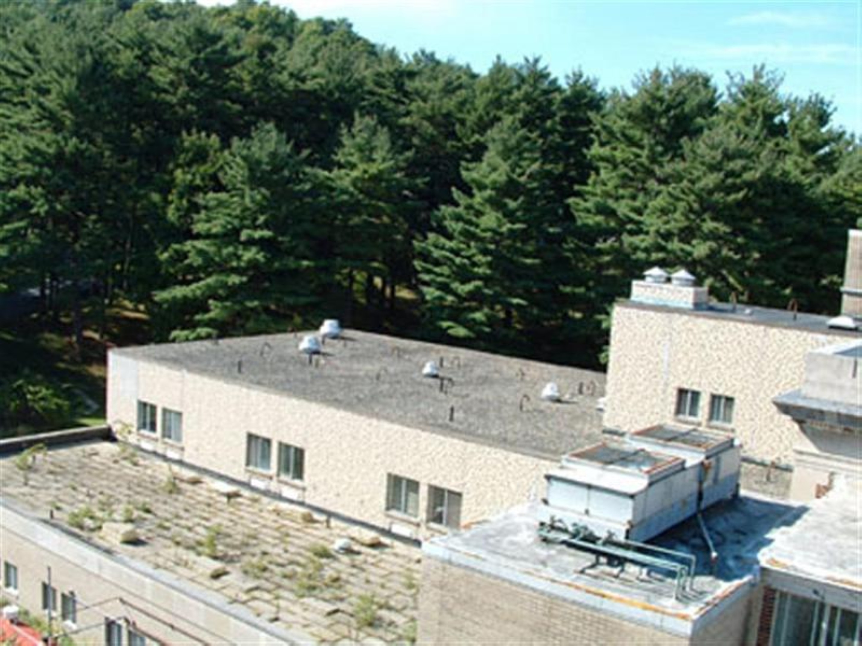 Mary McClellan Hospital: Roof Views, 2005 – Ken Gottry's history collection